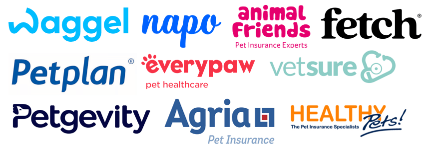UK Pet Insurance - Digital Marketing Benchmark Report, Q2 2025