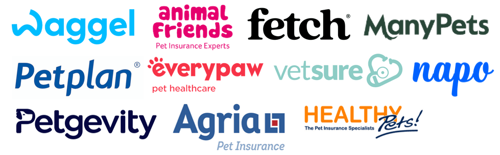 UK Pet Insurance - Digital Marketing Benchmark Report, Q3 2025
